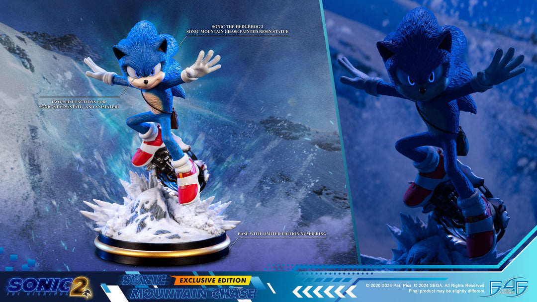 Sonic the Hedgehog 2 - Sonic Mountain Chase (Exclusive Edition) – First ...