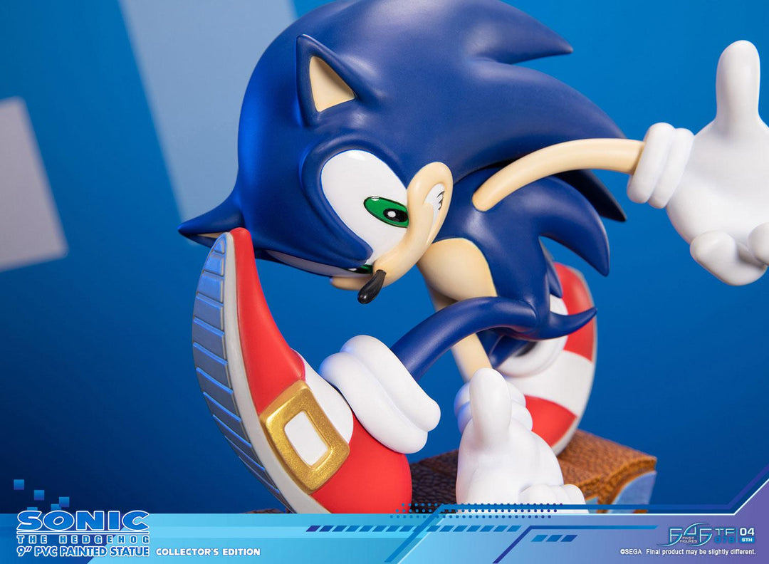 Sonic Adventure - Sonic the Hedgehog PVC (Collector's Edition) – First ...