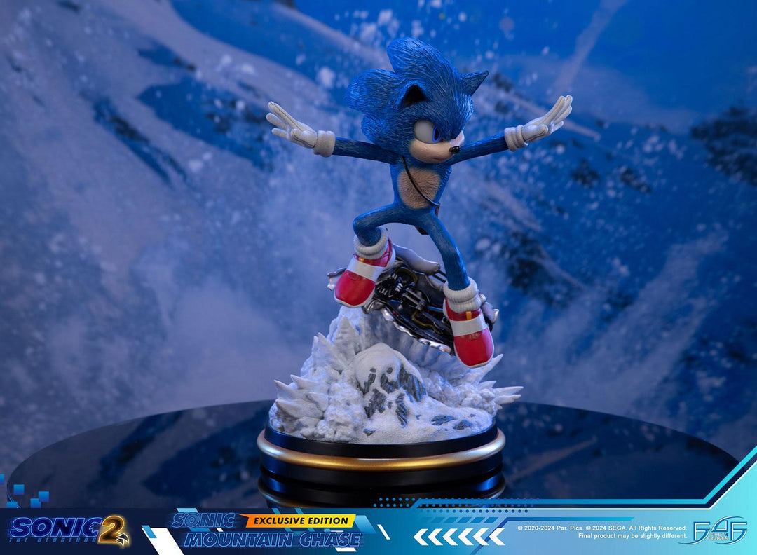 Sonic the Hedgehog 2 - Sonic Mountain Chase (Exclusive Edition) – First ...