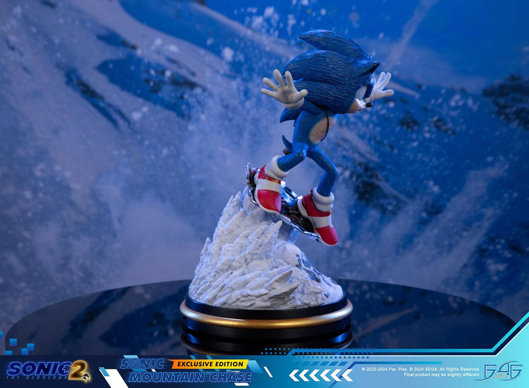 Sonic the Hedgehog 2 - Sonic Mountain Chase (Exclusive Edition) – First ...