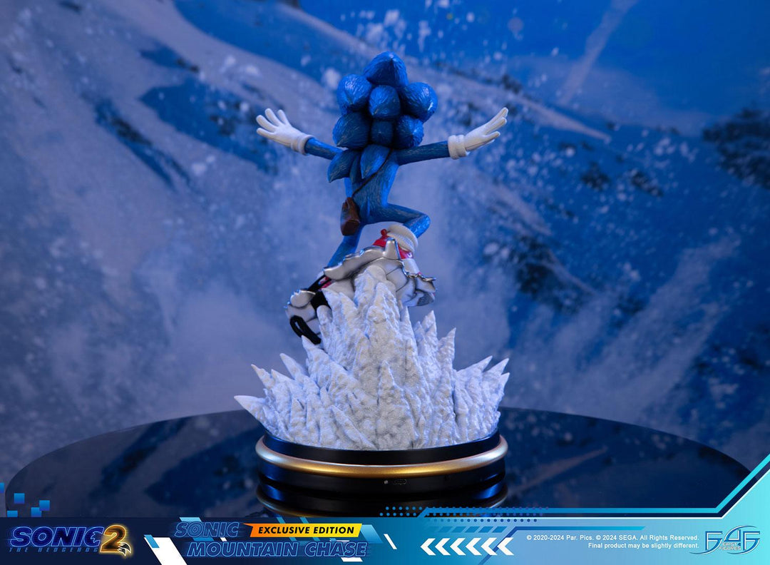 Sonic the Hedgehog 2 - Sonic Mountain Chase (Exclusive Edition) – First ...