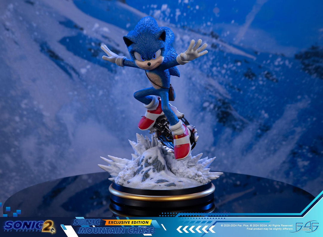 Sonic the Hedgehog 2 - Sonic Mountain Chase (Exclusive Edition) – First ...