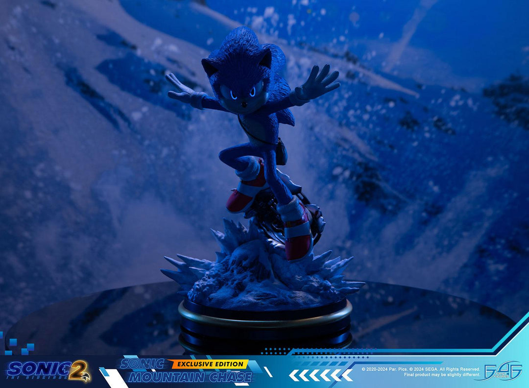 Sonic the Hedgehog 2 - Sonic Mountain Chase (Exclusive Edition) – First ...