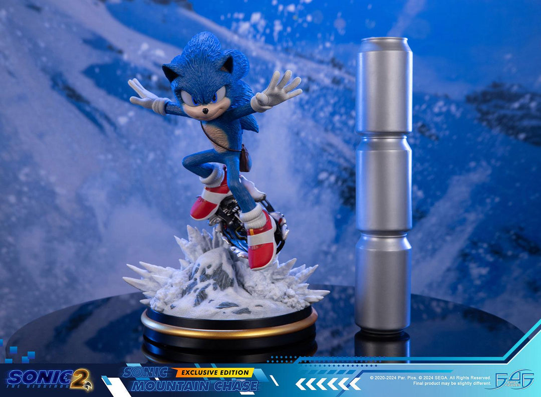 Sonic the Hedgehog 2 - Sonic Mountain Chase (Exclusive Edition) – First ...