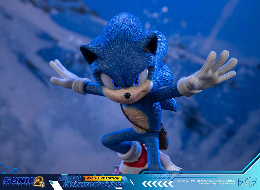 Sonic the Hedgehog 2 - Sonic Mountain Chase (Exclusive Edition) – First ...