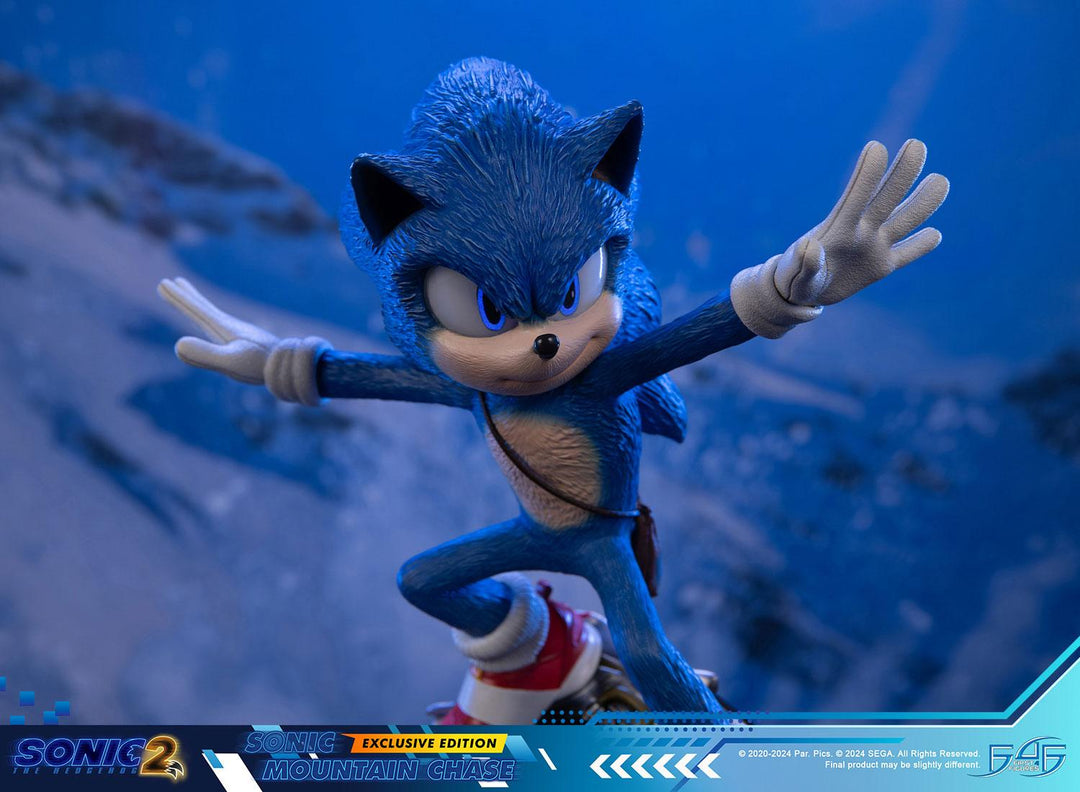 Sonic the Hedgehog 2 - Sonic Mountain Chase (Exclusive Edition) – First ...