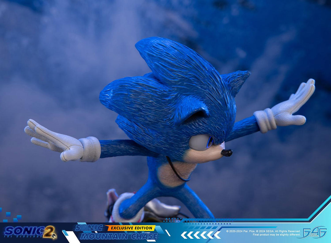 Sonic the Hedgehog 2 - Sonic Mountain Chase (Exclusive Edition) – First ...